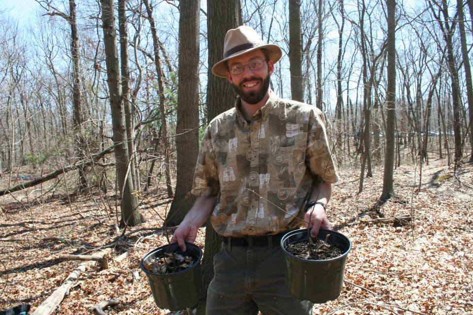 American Chestnut Restoration Project – Friends of the Ashley Schiff ...